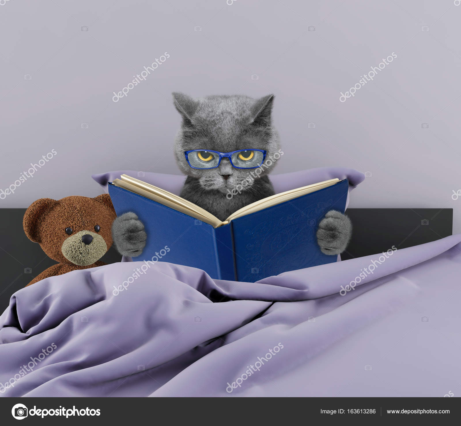 Cute Cat Reading Book