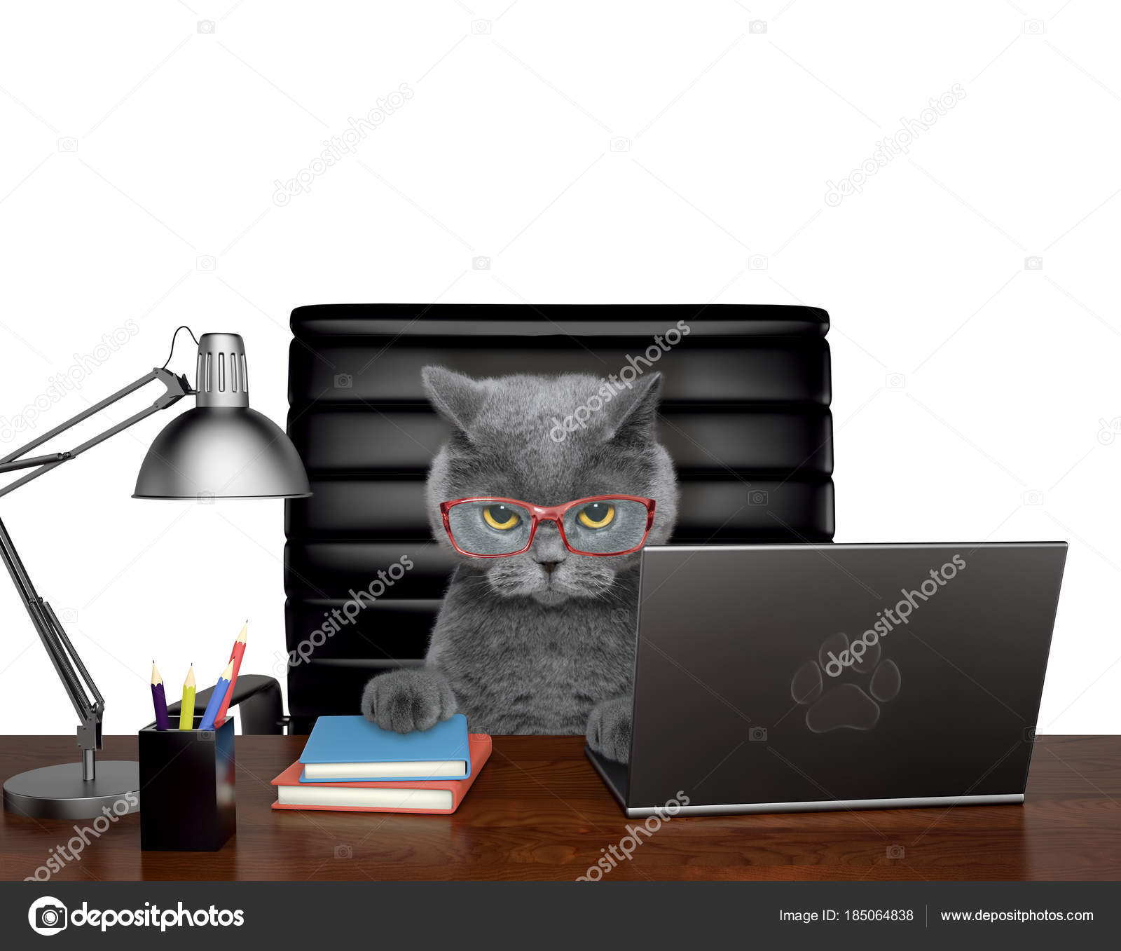 Angry cat manager is doing some work on the computer. Isolated on white ...