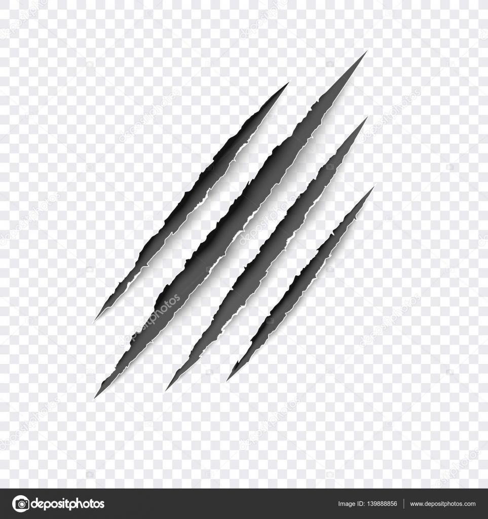 Clipart Scratch Claw