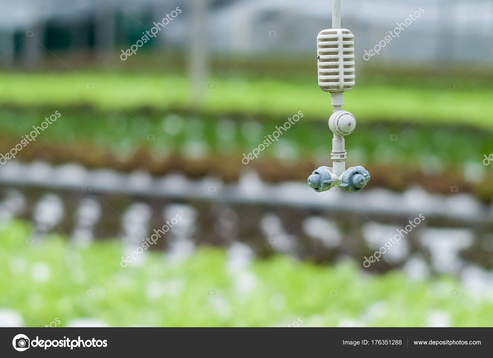 Hanging mist emitter above hydroponics plants Stock Photo by ©saran ...