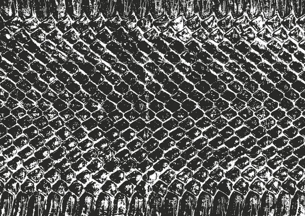 100,000 Lamellar texture Vector Images | Depositphotos