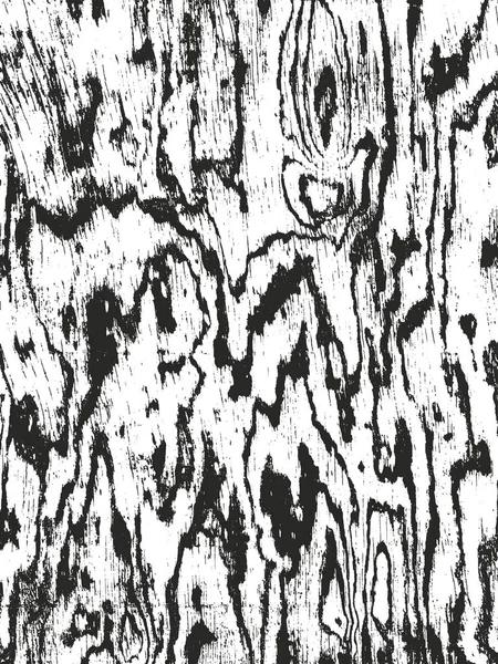 9,903,053 Tree roots drawing Vector Images | Depositphotos