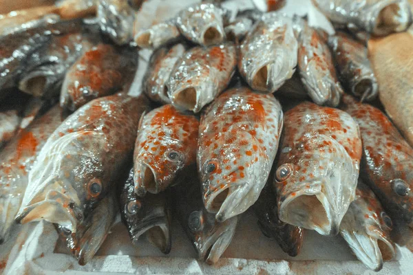 Zhuhai fish Stock Photos, Royalty Free Zhuhai fish Images | Depositphotos