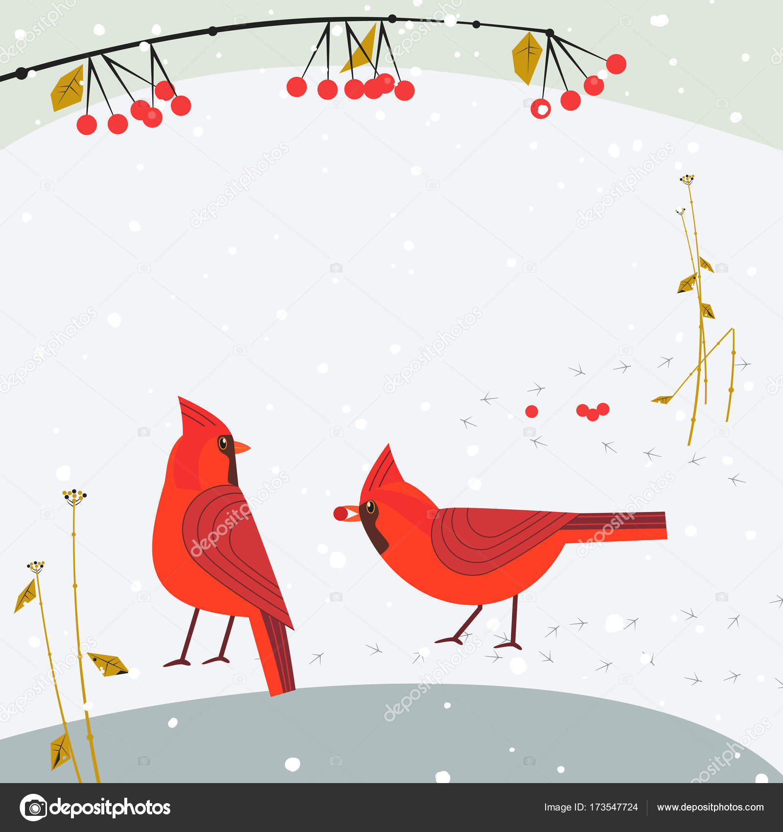 Cute Cardinal Illustration