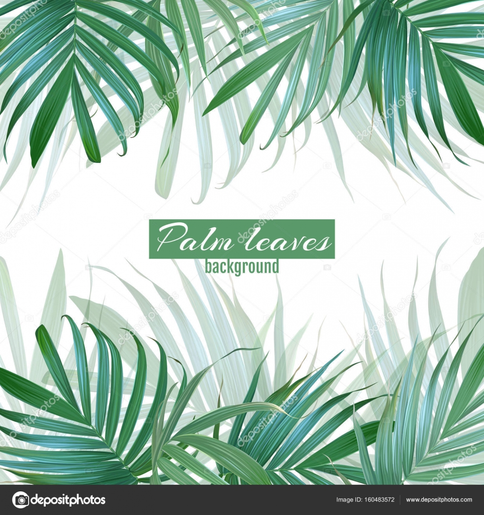 Vector palm leaves background. Tropical banner. Stylish poster w Stock ...