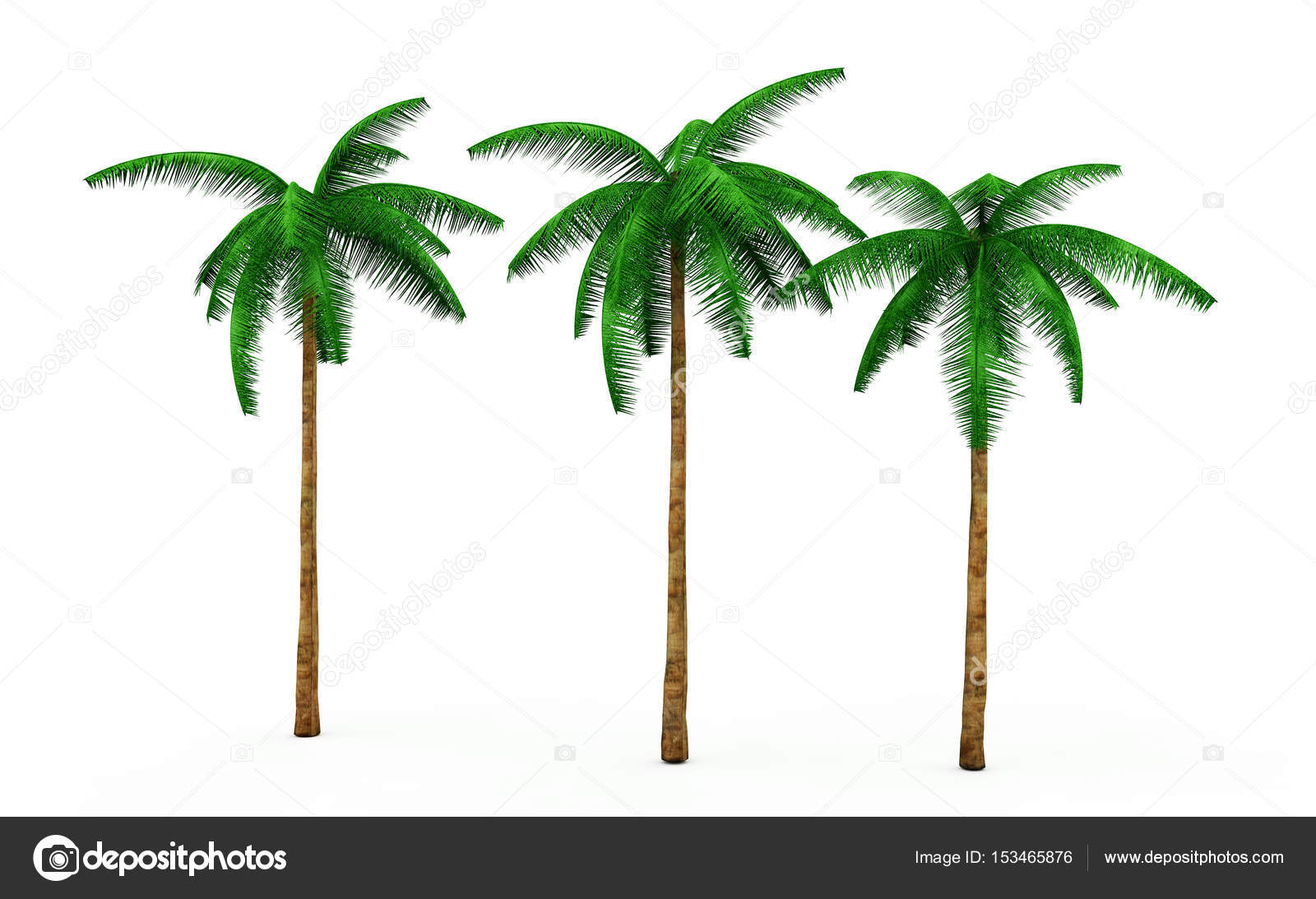3D rendering of three palm trees on a neutral white background — Stock ...