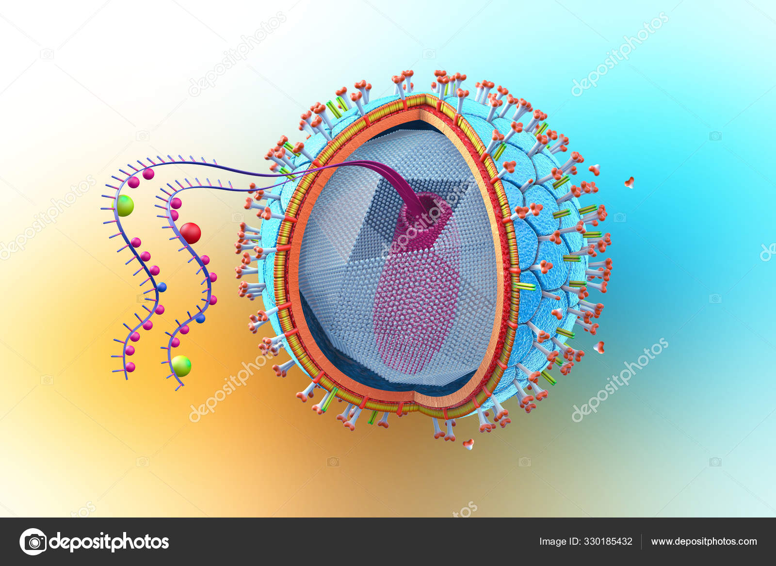 Hiv Virus Structure 3d