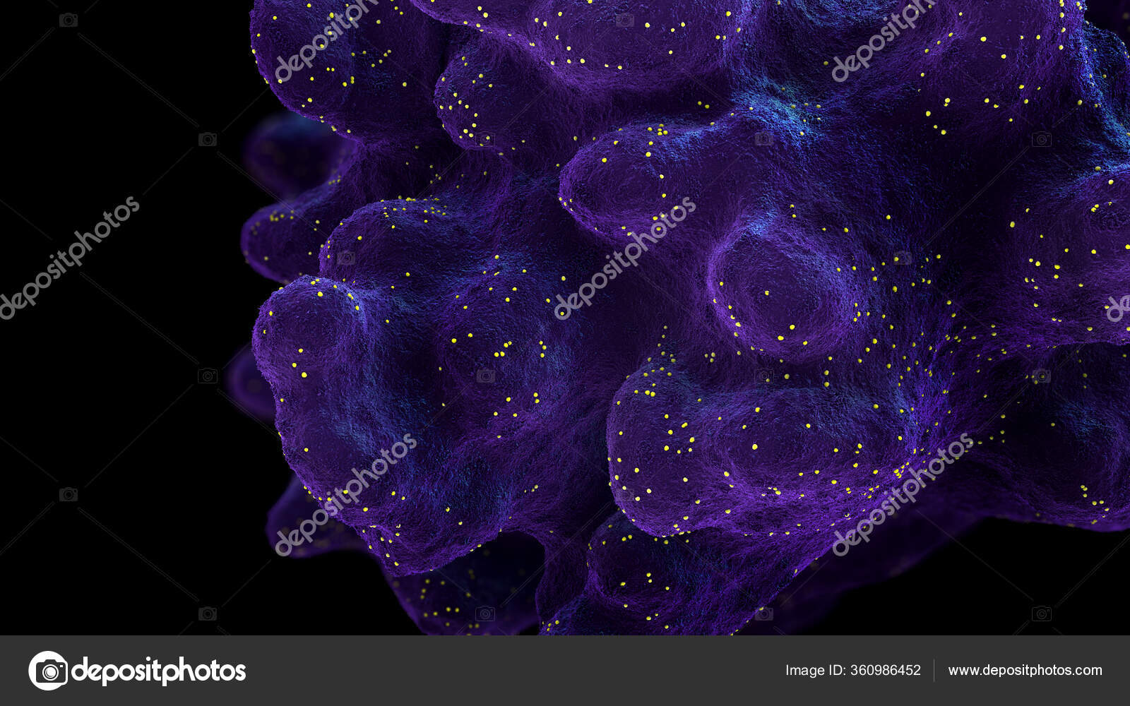 Cell Infected Virus Particles Causing Cell Death Illustration Stock ...