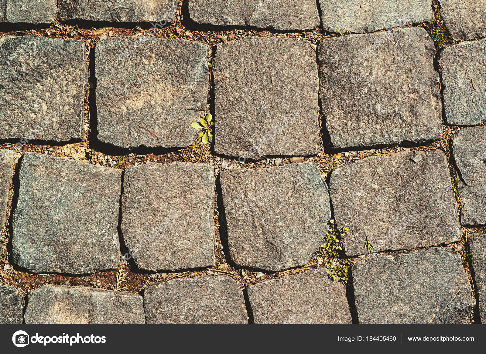 Old cobblestoned pavement background — Stock Photo © Volurol #184405460