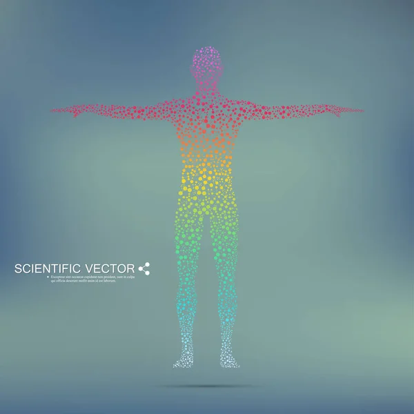 Human body profile Vector Art Stock Images | Depositphotos