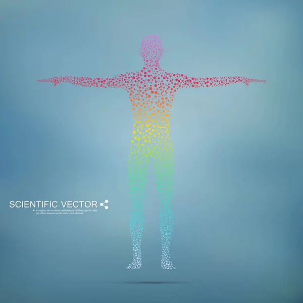 Human body profile Vector Art Stock Images | Depositphotos