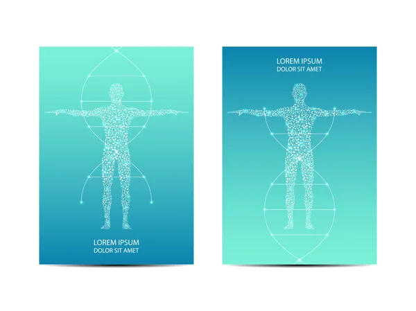 Human body profile Vector Art Stock Images | Depositphotos