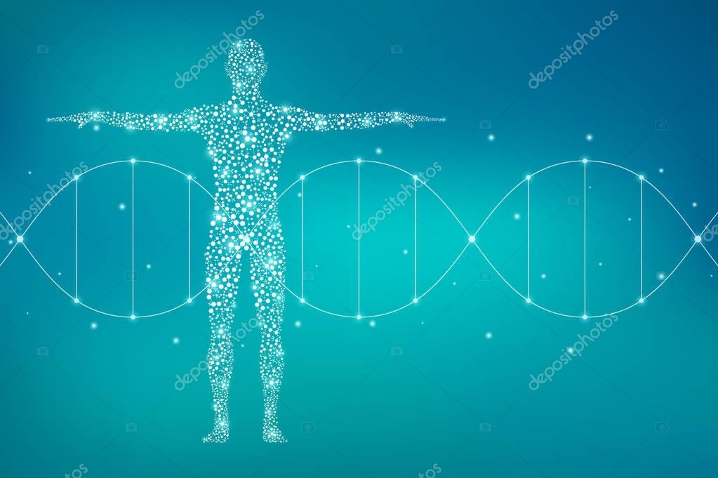 Resumen del cuerpo humano con moléculas de ADN. Concepto de medicina ...