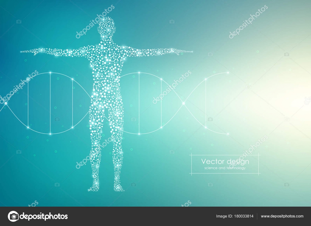 Vector human body with molecules DNA. Medicine, science and technology ...