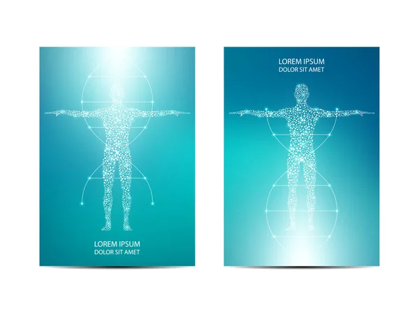 Human body profile Vector Art Stock Images | Depositphotos