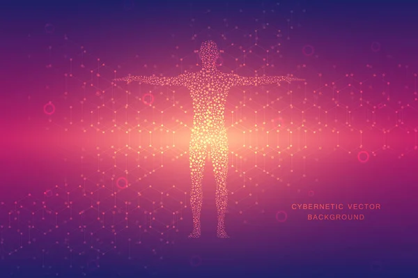 Human body profile Vector Art Stock Images | Depositphotos