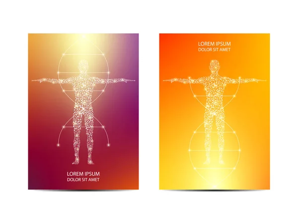 Human body profile Vector Art Stock Images | Depositphotos