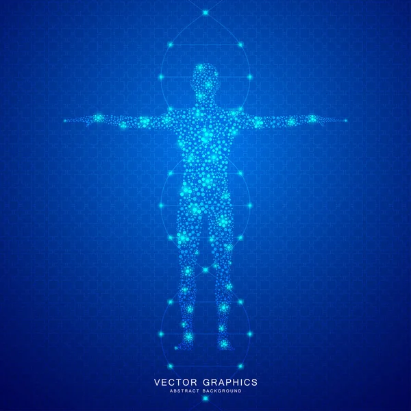 Human body profile Vector Art Stock Images | Depositphotos