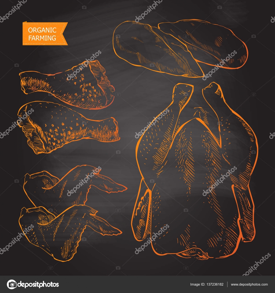 Chicken meat vector Stock Vector Image by ©Bravoart #137236182