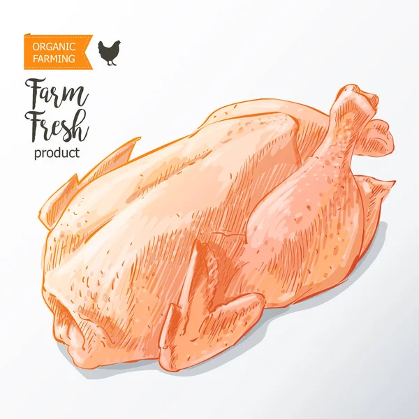 Daging ayam vektor Vektor Stok oleh ©Bravoart 137237902