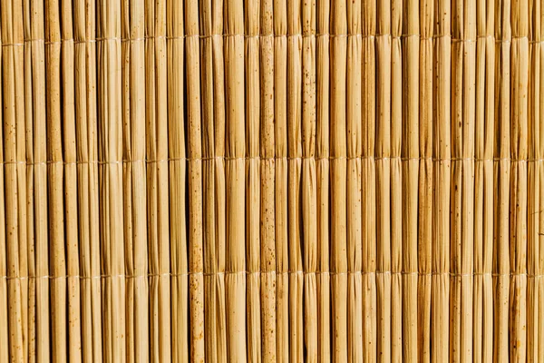 Reed texture Images - Search Images on Everypixel