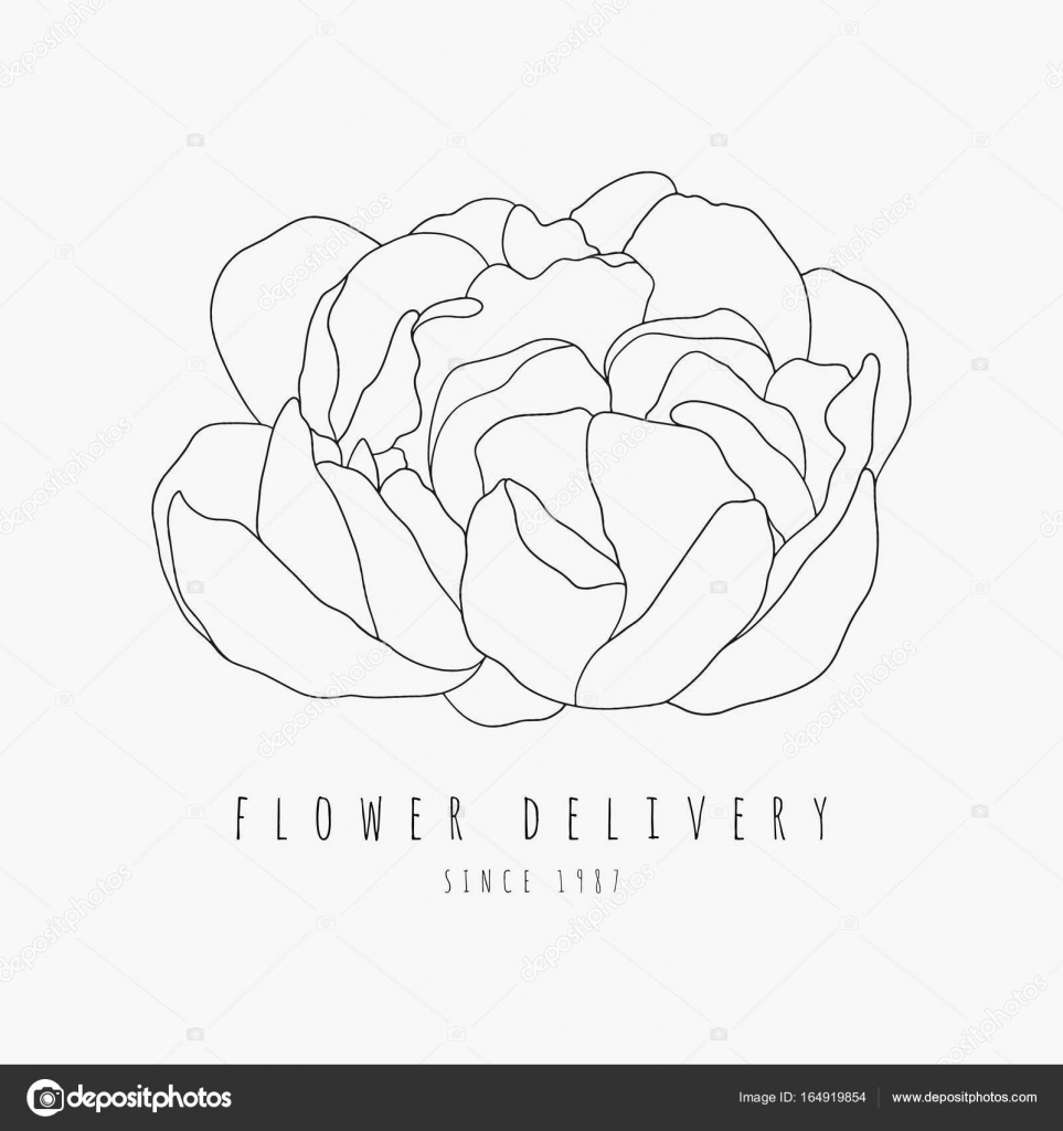 Peony logo | Hand drawn peony logo — Stock Vector © rinohara #164919854