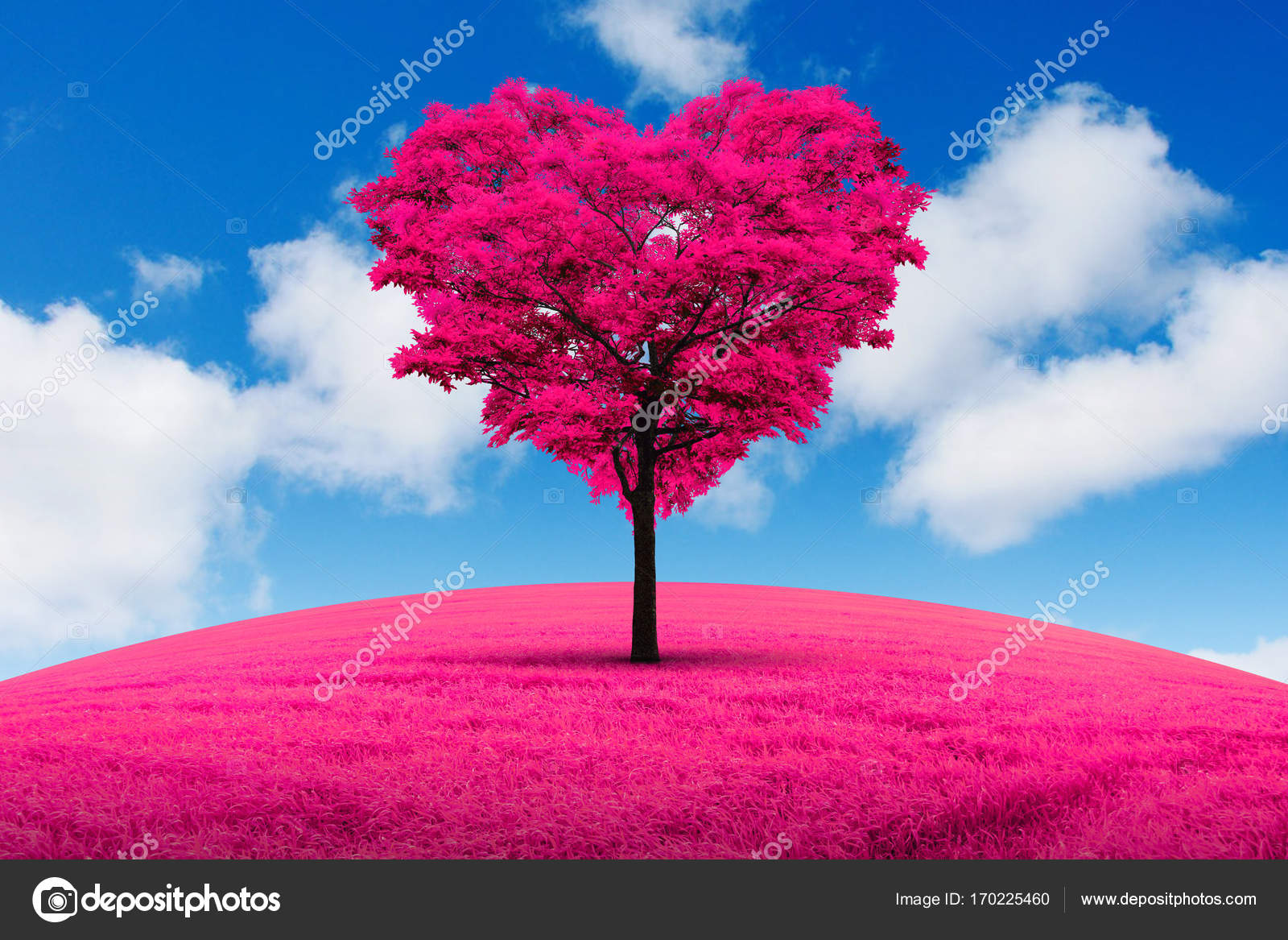 Red Heart Shaped Tree Free Heart Shaped Tree Image | Download At