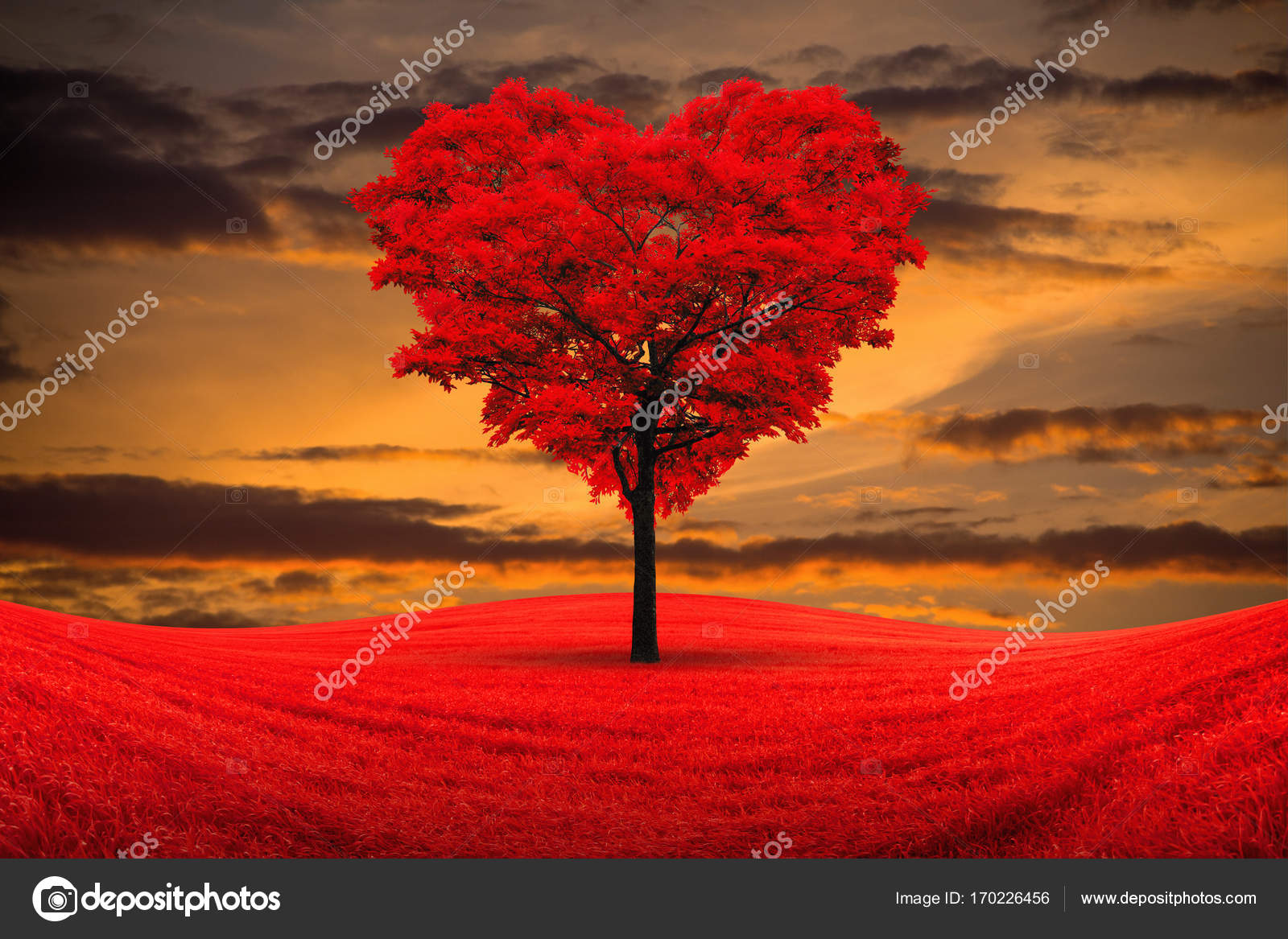 Heart Tree Sunset