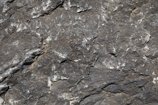 Seamless stone texture Images - Search Images on Everypixel