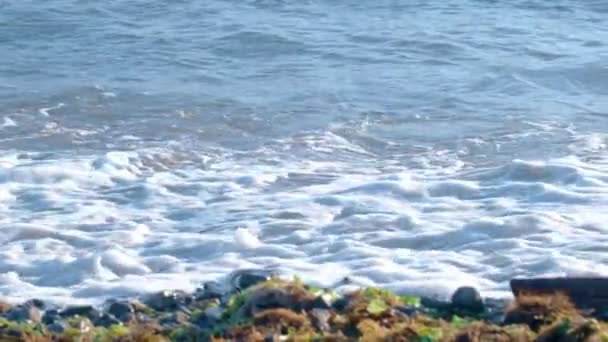 46 Receding wave Videos, Royalty-free Stock Receding wave Footage ...