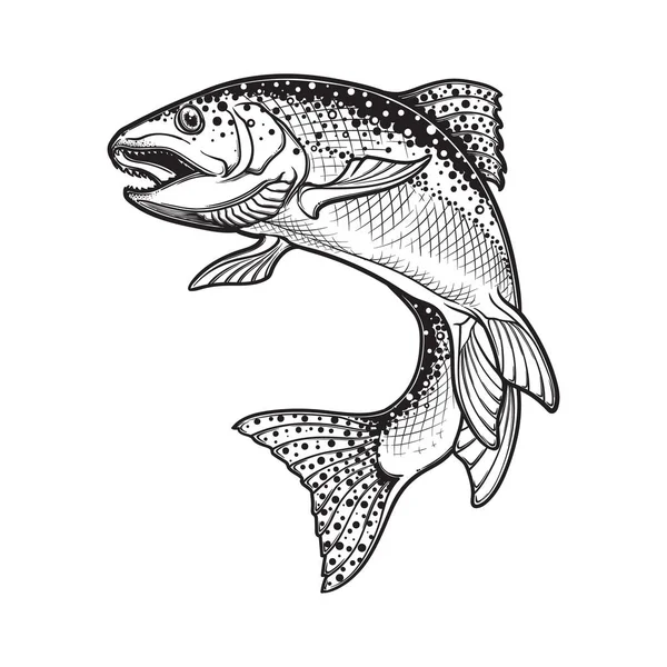 Trout Vector