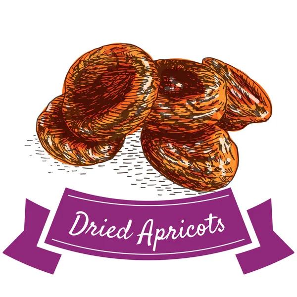 Dried apricot Vector Images, Royalty-free Dried apricot Vectors ...