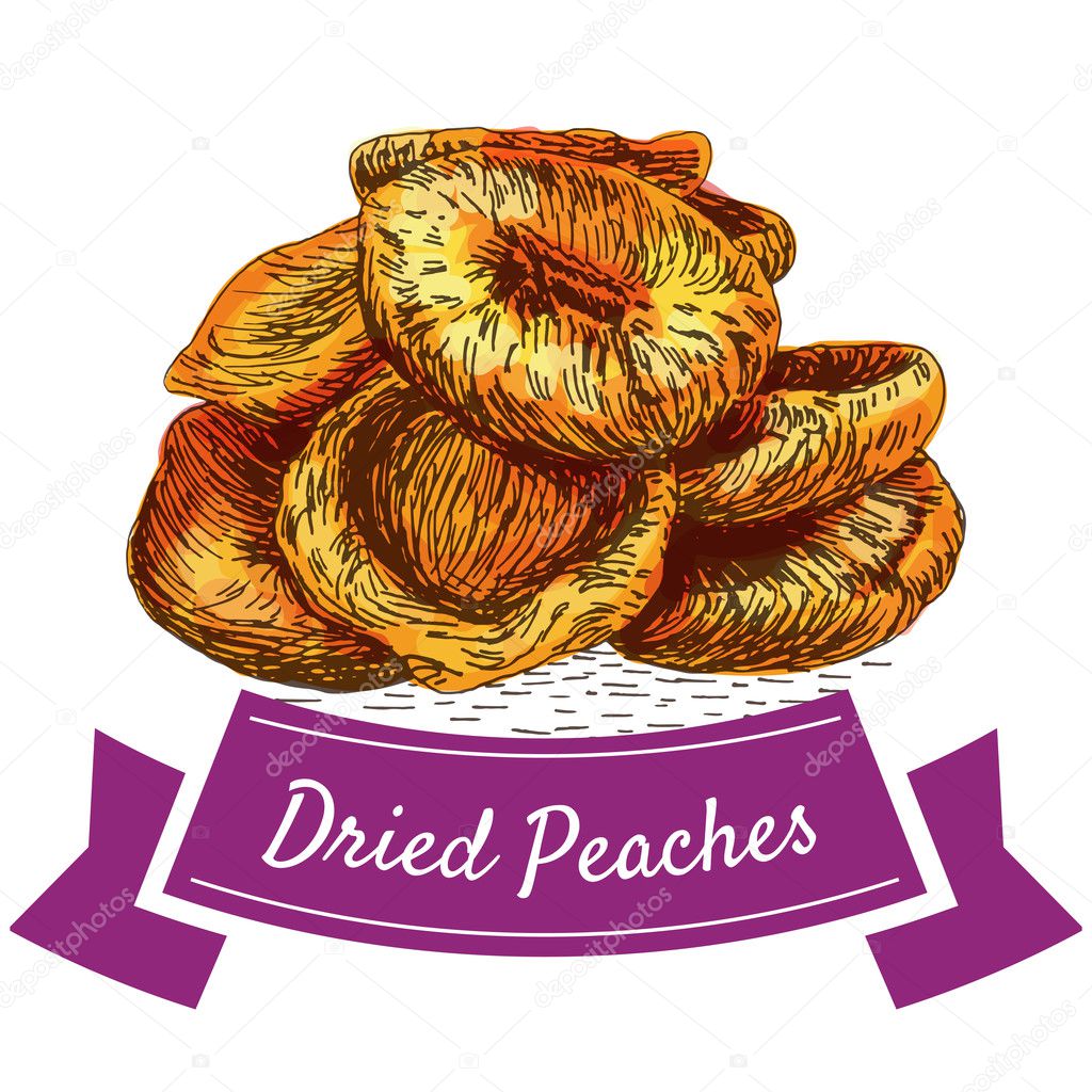 Dried peaches colorful illustration. Stock Vector Image by ©messer16 ...