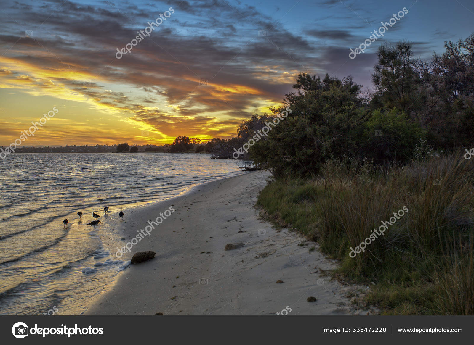 Point Walter Point Swan River Western Australia Point Walter Located ...