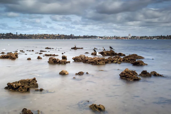 Point Walter Point Swan River Western Australia Point Walter Located ...