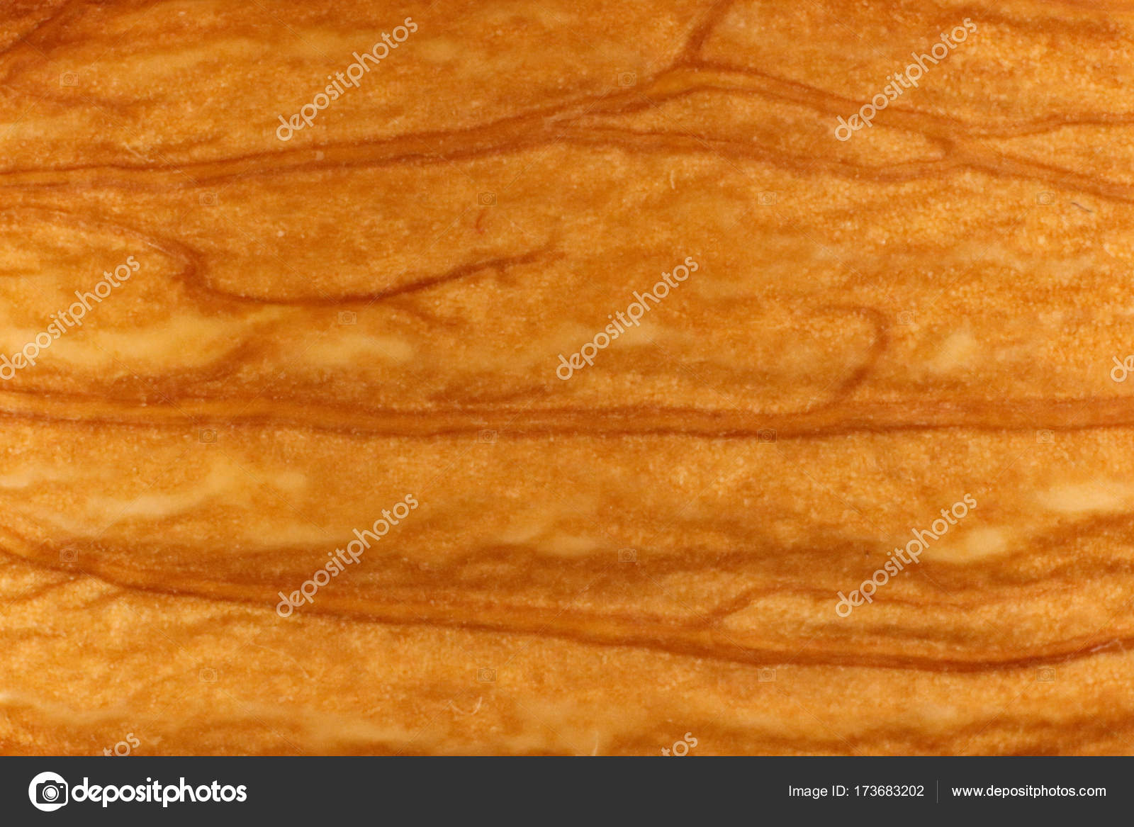 Forest Almond Nut Texture Surface. Macro Closeup. Natural Organic ...