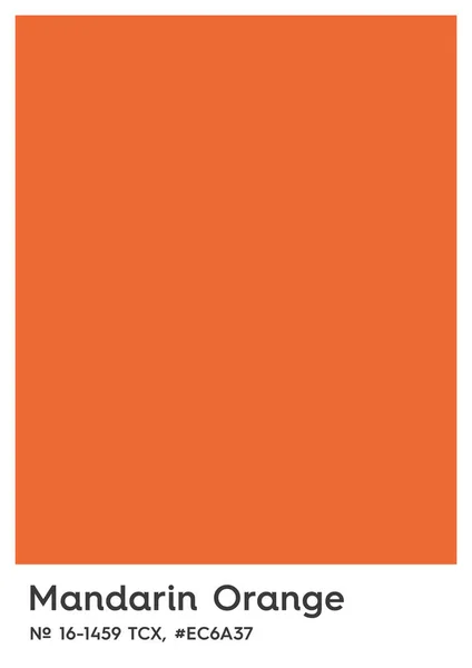 Mandarin orange logo images vectorielles, Mandarin orange logo vecteurs ...