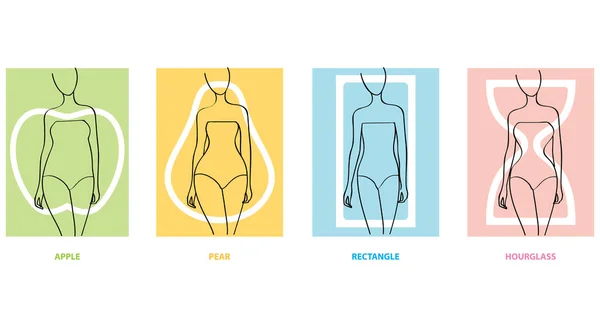 Female body shapes Vector Art Stock Images | Depositphotos