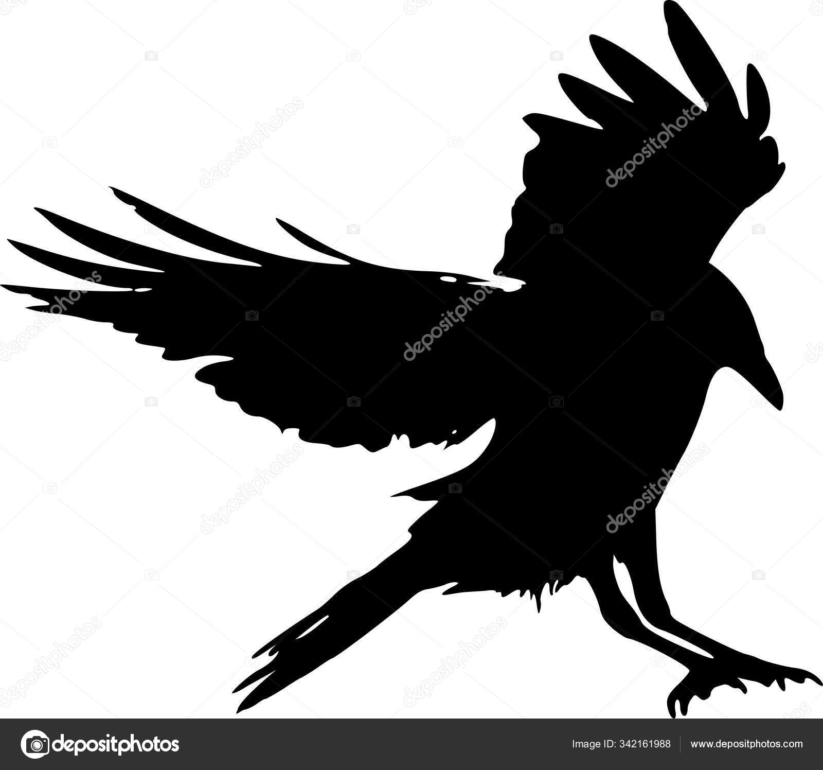 Black Silhouette Raven Landing Stock Vector by ©ccile.ducrot.orange.fr ...
