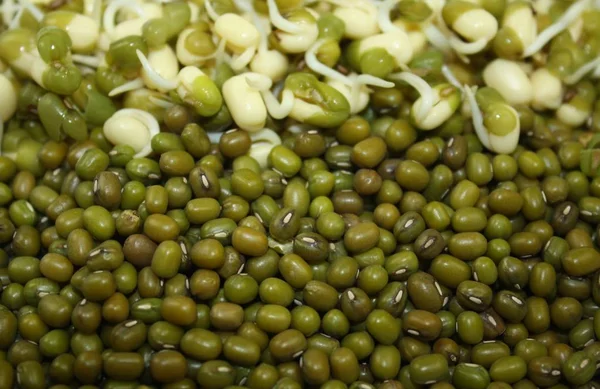 Dry mung bean in heart shape mold and growing mung beans sprouts around ...