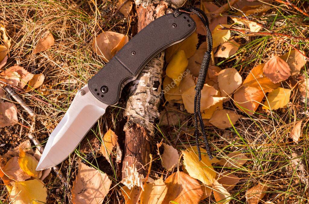 Vista de la caída del cuchillo. Cuchillo en una rama de abedul y ...