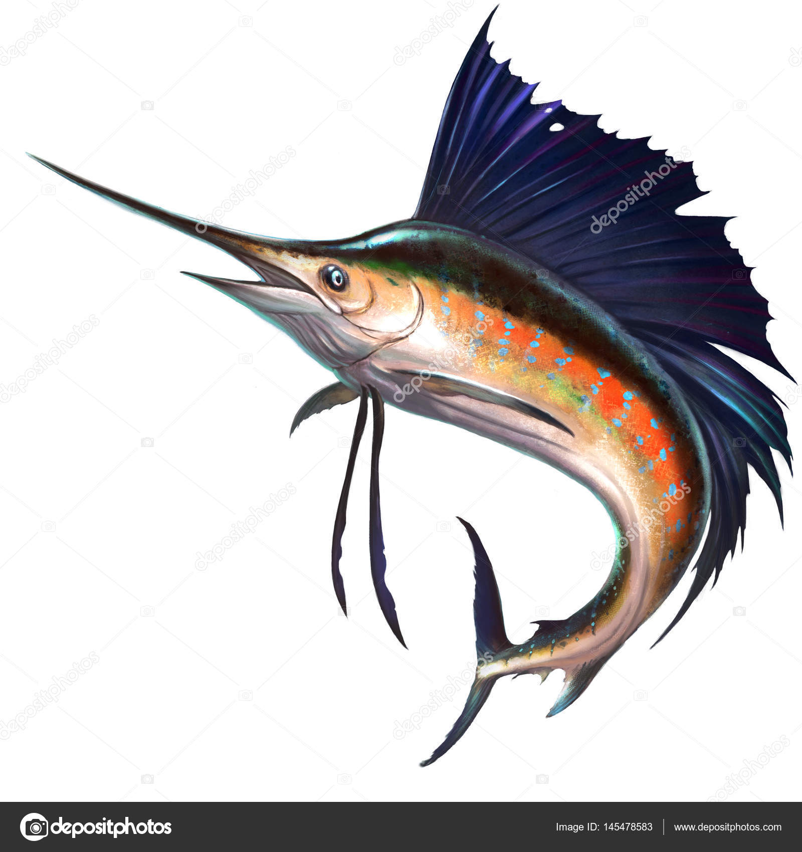 Sailfish on white Stock Photo by ©trassnick.gmail.com 145478583