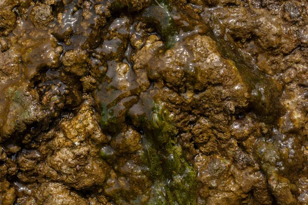 slippery rocks under the influence of long-term water, note shallow ...