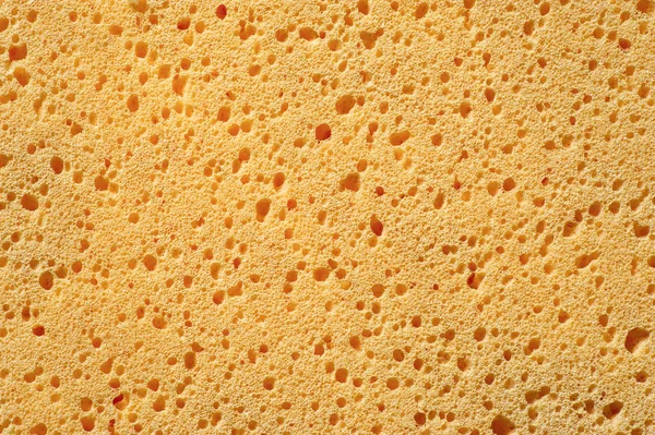 Yellow sponge texture backgrond — Stock Photo © yos_moes #10776521