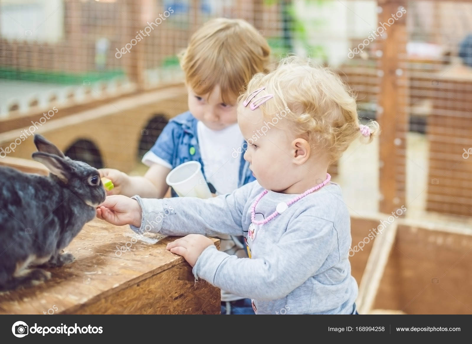 Children play with the rabbits in the petting zoo Stock Photo by ...