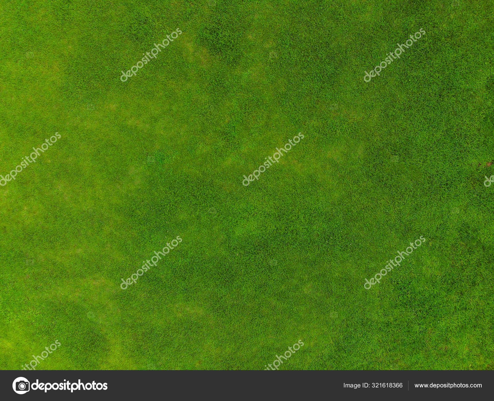 Top view of park, Natural grass texture Stock Illustration by ...