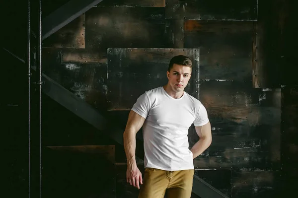 Stylized loft Stock Photos, Royalty Free Stylized loft Images ...