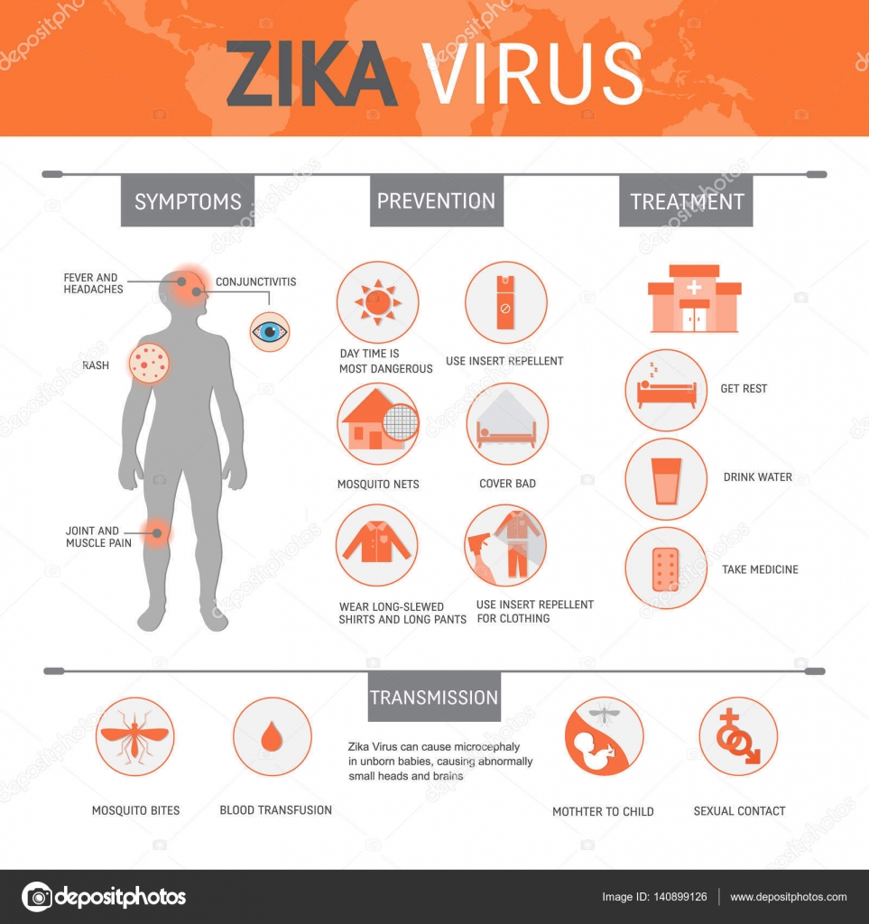 Zica virus infographic Stock Vector by ©darijashka 140899126