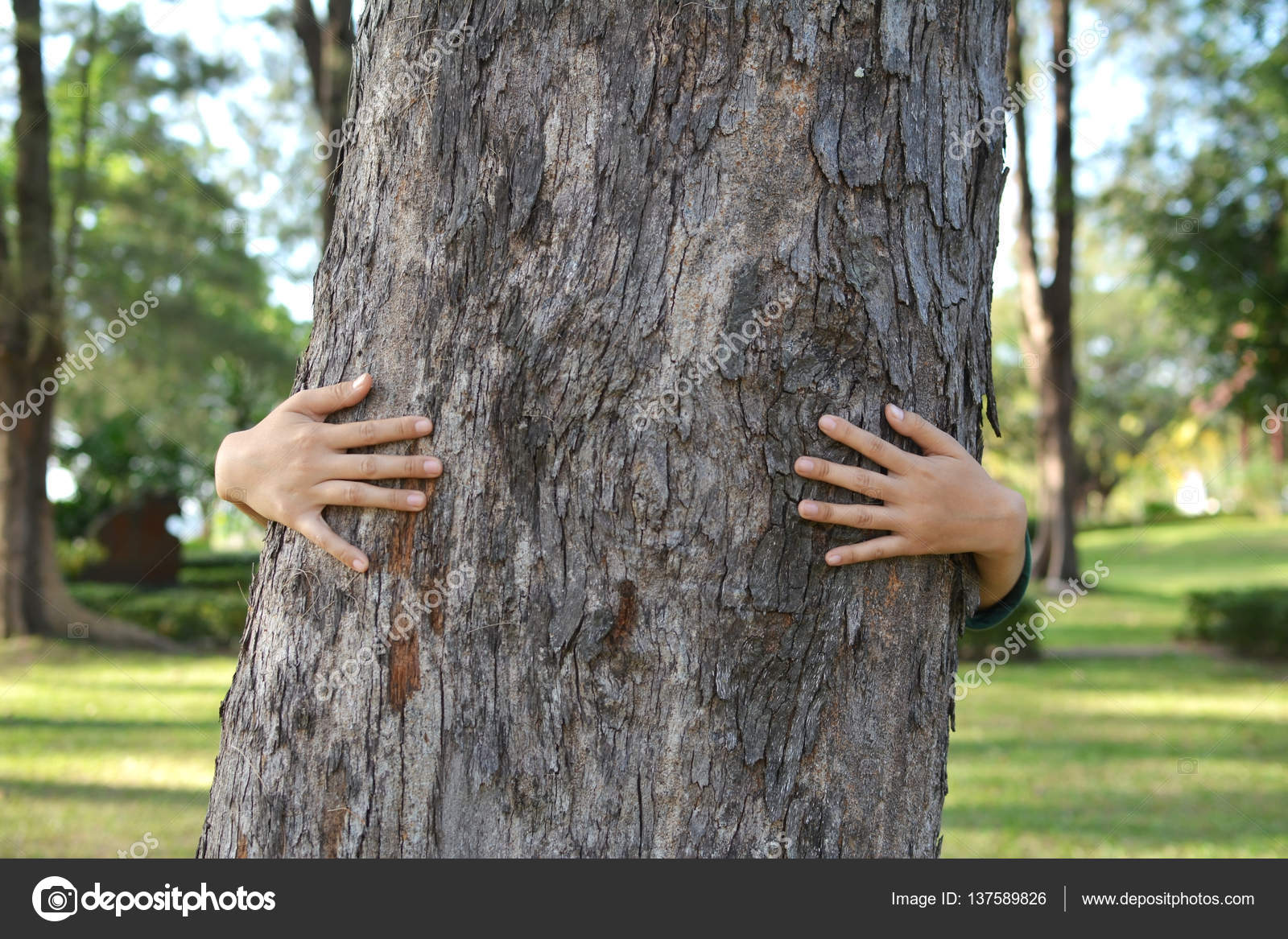 Women hug big tree color of hipster tone selective soft focus, concept ...