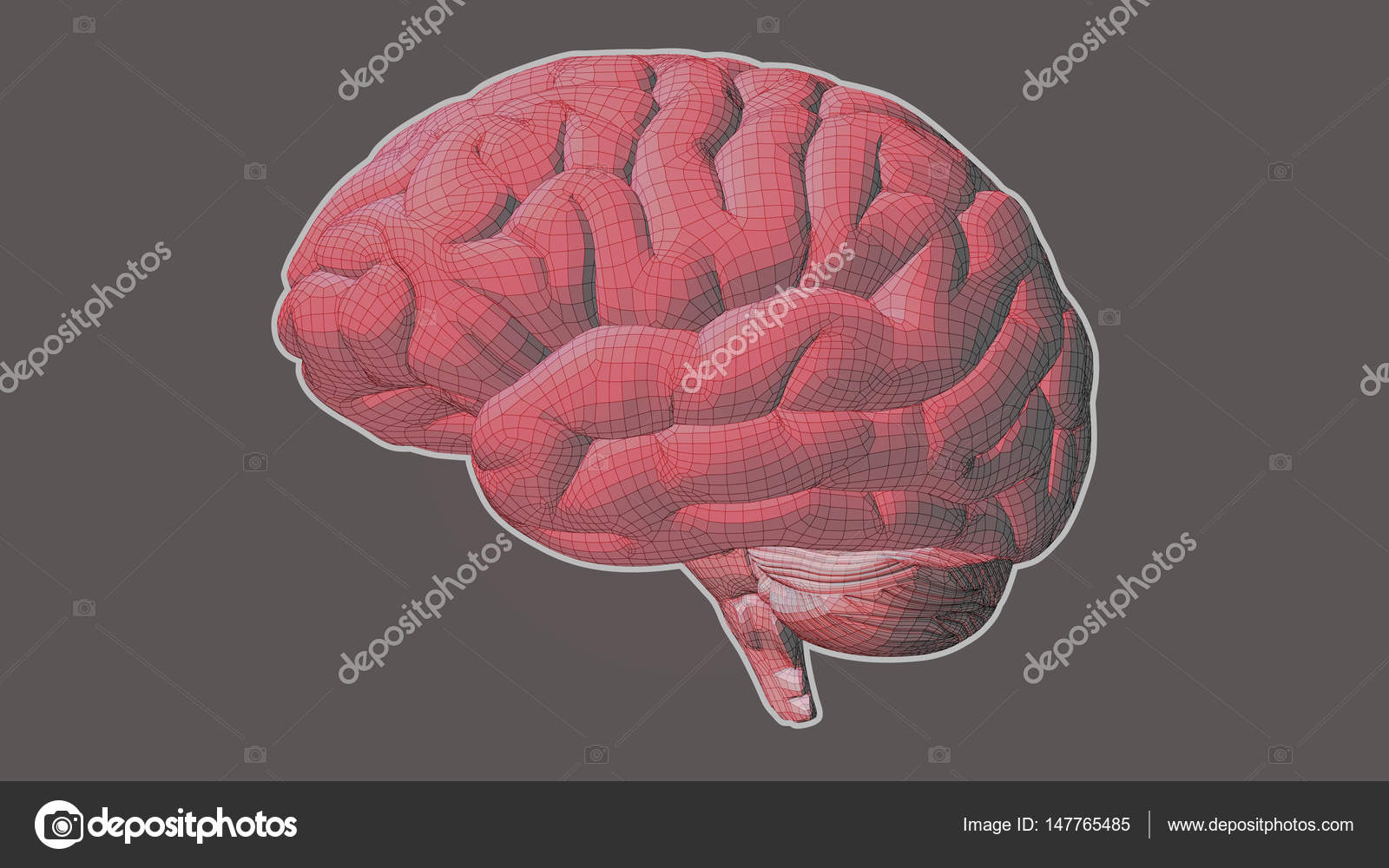 Pink wireframe brain side view on brown BG Stock Vector Image by ...